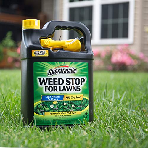 Spectracide Weed Stop For Lawns, Ready-to-Use, 1-Gallon