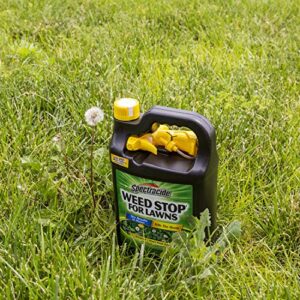 Spectracide Weed Stop For Lawns, Ready-to-Use, 1-Gallon