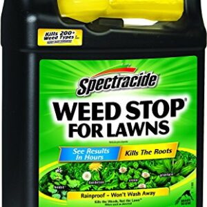 Spectracide Weed Stop For Lawns, Ready-to-Use, 1-Gallon