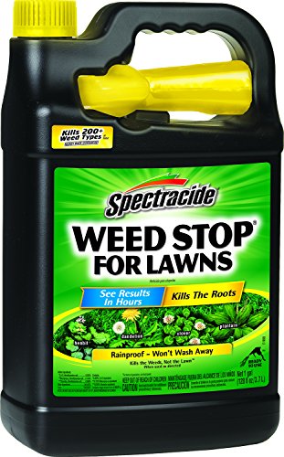 Spectracide Weed Stop For Lawns, Ready-to-Use, 1-Gallon