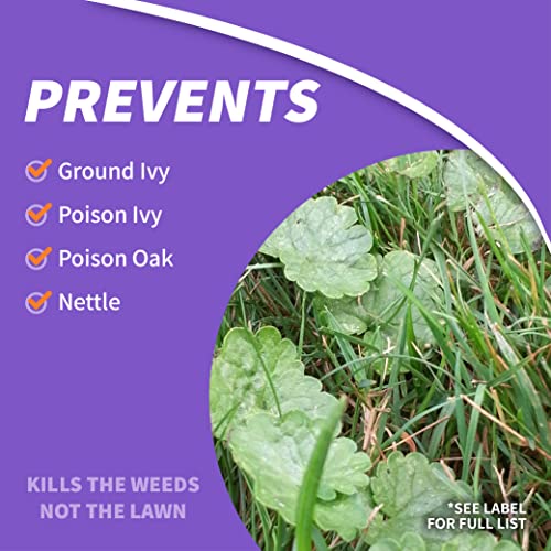 Bonide Poison Oak & Ivy Killer, 32 oz Ready-to-Use Spray for Home Gardening, Fast-Acting Formula Kills the Roots