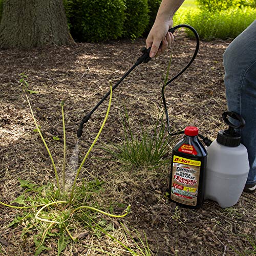 Spectracide Weed & Grass Killer With Extended Control Concentrate, Extended Weed And Grass Control, Prevents Weeds Coming Back, 40 fl Ounce