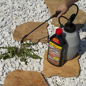 Spectracide Weed & Grass Killer With Extended Control Concentrate, Extended Weed And Grass Control, Prevents Weeds Coming Back, 40 fl Ounce