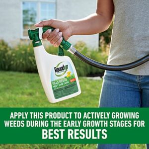 Roundup For Lawns₃ Ready-To-Spray - Tough Weed Killer for Use on Northern Grasses, 32 oz.