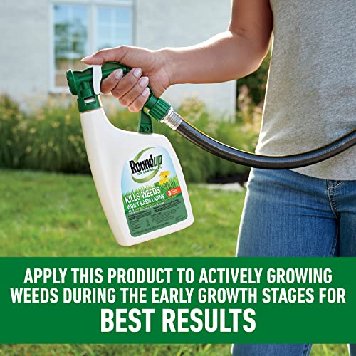 Roundup For Lawns₃ Ready-To-Spray - Tough Weed Killer for Use on Northern Grasses, 32 oz.