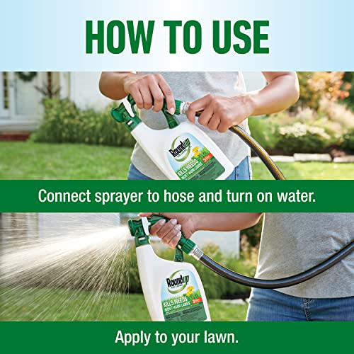 Roundup For Lawns₃ Ready-To-Spray - Tough Weed Killer for Use on Northern Grasses, 32 oz.