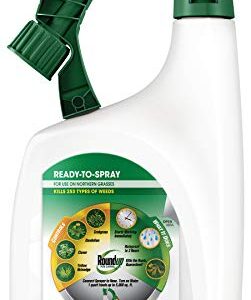 Roundup For Lawns3 Ready-To-Spray (Northern), 32 oz. - Lawn Safe Weed Killer for Northern Lawns, Kills Crabgrass, Dandelion, Clover and Yellow Nutsedge - Kills Weeds, Not the Lawn