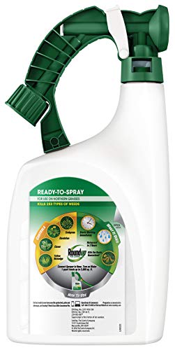 Roundup For Lawns3 Ready-To-Spray (Northern), 32 oz. - Lawn Safe Weed Killer for Northern Lawns, Kills Crabgrass, Dandelion, Clover and Yellow Nutsedge - Kills Weeds, Not the Lawn