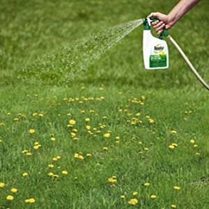 Roundup For Lawns3 Ready-To-Spray (Northern), 32 oz. - Lawn Safe Weed Killer for Northern Lawns, Kills Crabgrass, Dandelion, Clover and Yellow Nutsedge - Kills Weeds, Not the Lawn