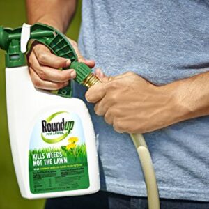 Roundup For Lawns3 Ready-To-Spray (Northern), 32 oz. - Lawn Safe Weed Killer for Northern Lawns, Kills Crabgrass, Dandelion, Clover and Yellow Nutsedge - Kills Weeds, Not the Lawn