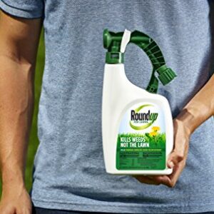 Roundup For Lawns3 Ready-To-Spray (Northern), 32 oz. - Lawn Safe Weed Killer for Northern Lawns, Kills Crabgrass, Dandelion, Clover and Yellow Nutsedge - Kills Weeds, Not the Lawn