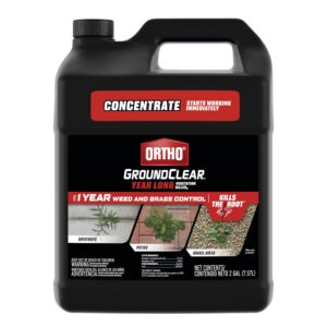 ortho groundclear year long vegetation killer2 concentrate, kills and prevents weeds up to 12 months, 2 gal.