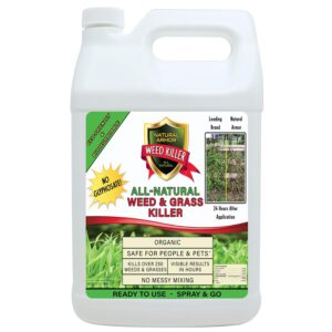 natural armor weed and grass killer all-natural concentrated formula. contains no glyphosate (320 oz. 2.5 gallon)