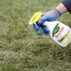 Scotts TouchUp Weed Control for Lawn (Dandelion, Clover, & Crabgrass Killer) (Not Sold in HI), 24 fl oz