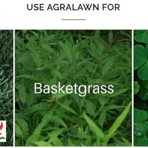 Agralawn Crabgrass Killer (2, Pounds)