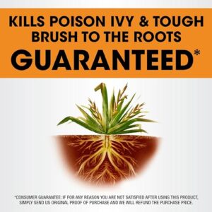 Roundup Poison Ivy Plus Tough Brush Killer₂ Concentrate, Visible Results in Hours, 32 fl. oz.