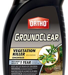 Ortho GroundClear Vegetation Killer Concentrate, 32-Ounce