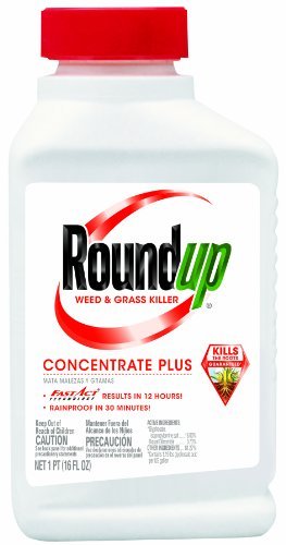 Roundup 070183500550 Weed & Grass Killer Concentrate Plus