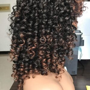 PRETTIEST Afro Curly Wigs Black with Warm Brown Highlights Wigs with Bangs for Black Women Natural Looking for Daily Wear (Ombre Brown)