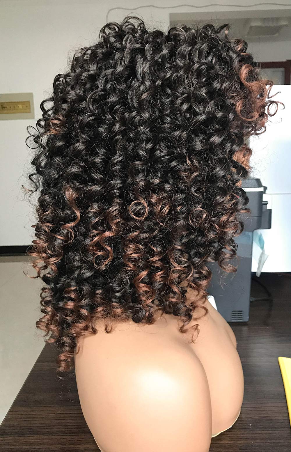 PRETTIEST Afro Curly Wigs Black with Warm Brown Highlights Wigs with Bangs for Black Women Natural Looking for Daily Wear (Ombre Brown)