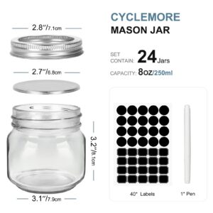 CycleMore 24 Pcs 8oz Clear Glass Mason Jars With Regular Silver Separable Lids, 250ml Round Spice Jars Canning Jars for Honey, Jam, Herb, Wedding Favors, Kitchen Storage, DIY Souvenir