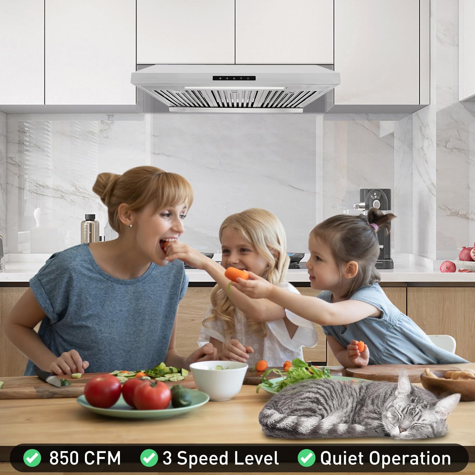 Vesta Arlington 850 CFM Powerful 30 Inch Under Cabinet Range Hood With Premium Stainless Steel Body, Twin Turbo Motors, 3 Speed Touch Screen, Delay Shutoff, Round Vent, LED Lights, Long Oil Collector