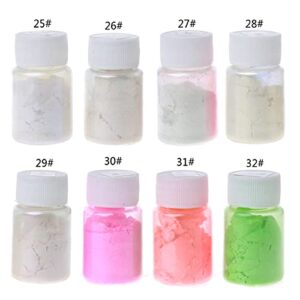 Cherjoury 8 Colors Pigments Brilliant Mica Powder Kit Epoxy Resin Colorant Makeup Bath Bomb Soap Candle Making Powder Pigment Kitset C