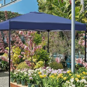 Blissun 10 x 10 Ft Outdoor Portable Pop-Up Canopy Tent with Roller Bag (Blue)