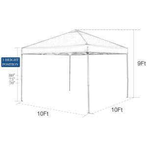 Blissun 10 x 10 Ft Outdoor Portable Pop-Up Canopy Tent with Roller Bag (Blue)