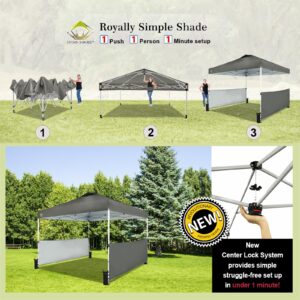 CROWN SHADES 10x10 Pop up Canopy Tent Instant Canopy with 150D Silver Coated Fabric Including 2 Half Sidewalls, 4 Ropes, 8 Stakes, 4 Weight Bags, STO 'N Go Bag, Grey