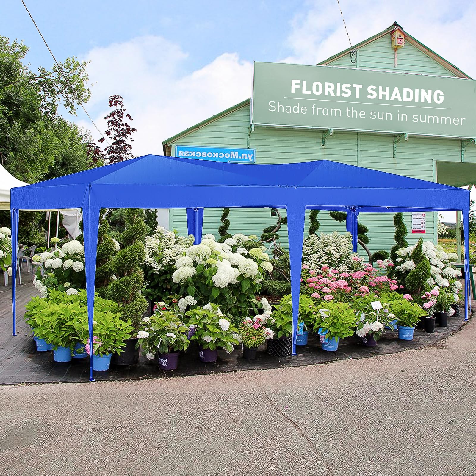 10'x20' Pop Up Canopy Tent with Sidewalls, Outdoor Heavy Duty Party Tent with 4 Sandbags and Carrying Bag, Large Ez Up Tents for Parties, Event, Waterproof (Blue)