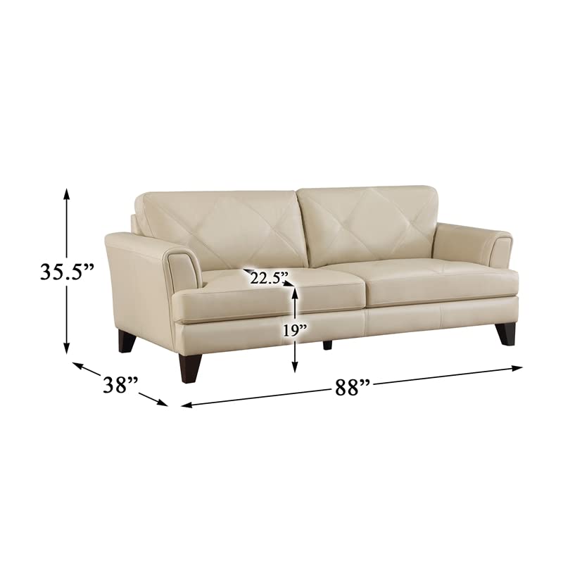 Lexicon Thierry 19" Modern Plywood and Leather Sofa in Cream Finish