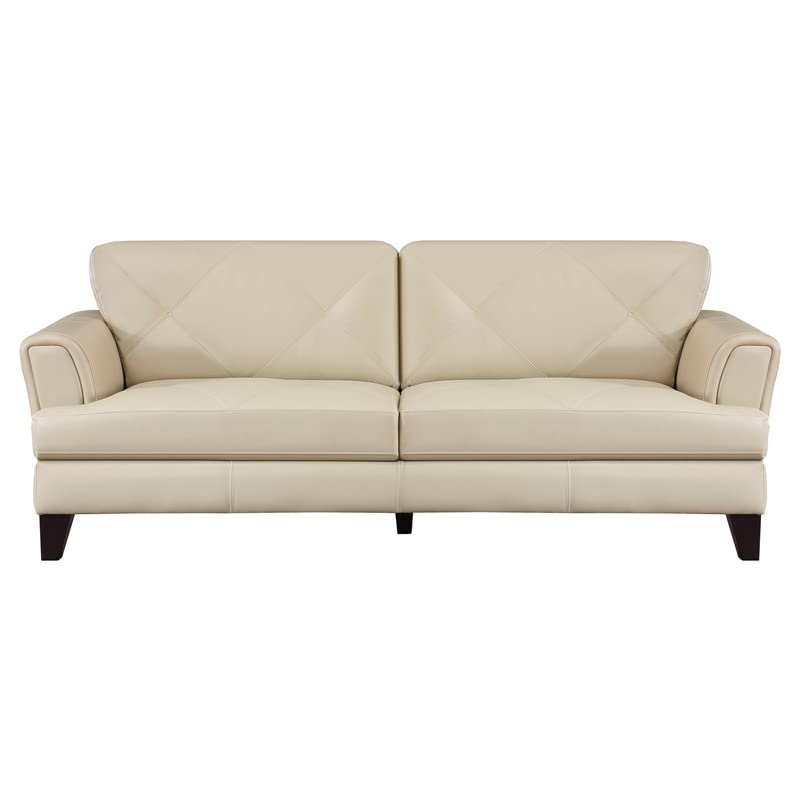 Lexicon Thierry 19" Modern Plywood and Leather Sofa in Cream Finish