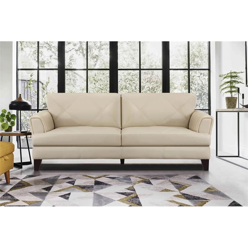 Lexicon Thierry 19" Modern Plywood and Leather Sofa in Cream Finish