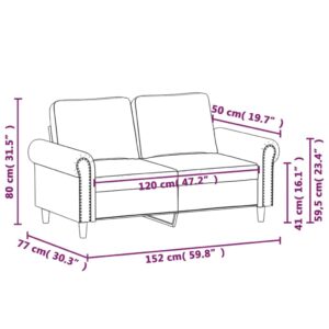 SKM 2-Seater Sofa Light Gray 47.2" Velvet (23.5 KG/51.7 LBS)