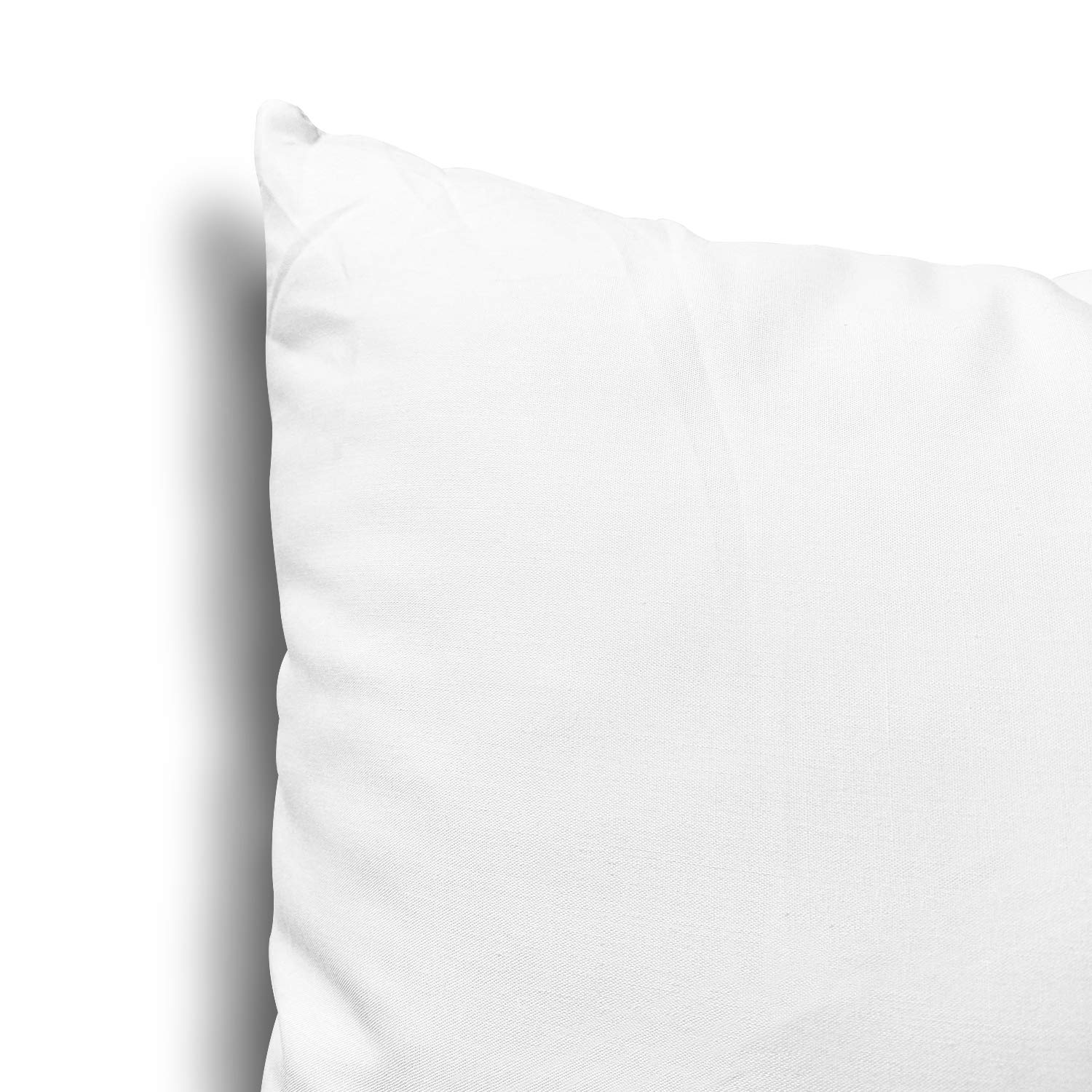 EDOW Throw Pillow Insert, Lightweight Soft Polyester Down Alternative Decorative Pillow, Sham Stuffer, Machine Washable. (White, 18x18)