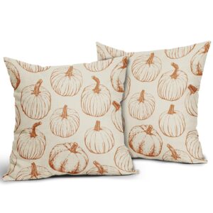 Aytipun Fall Pillow Covers 18x18 Set of 2 Burnt Orange Pumpkin Autumn Thanksgiving Harvest Decorative Throw Pillows Outdoor Cushion Case Sofa Couch Bed Decor