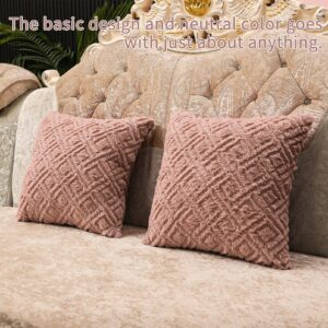 ETASOP Set of 2 Couch Pillows with Inserts 18x18, Spring Decorative Pillow Covers Velvet Throw Pillows with Inserts Included Farmhouse Cushions (Pink)