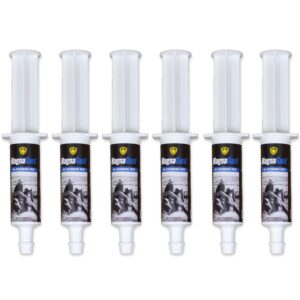 magnagard pre-performance calming paste for horses - all natural gastric support by eagle equine (6 pack)