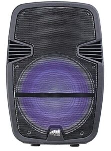 naxa electronics portable bluetooth party speaker with disco light, 15-inch, black, portable party speaker