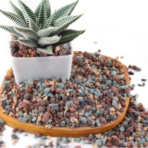 2.4lb mix horticultural lava rock pebbles pumice potting soil amendment succulent cactus bonsai gritty rock decorative gravel plant drainage volcanic rock for aquarium fairy gardening top dressing