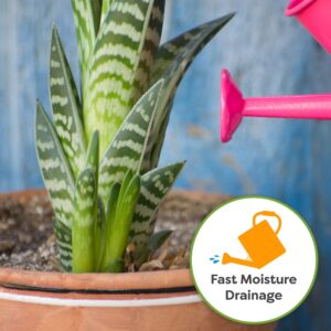 Perfect Plants Organic Snake Plant Soil in 4qt. Bag | Coco Coir Based Potting Mix Snake Plant Varieties