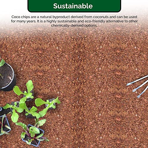 UBICON Easy to Use Compressed Coco Coir Organic Top Soil for Indoor and Outdoor; Each Brick Gets 7 Quarts, Excellent Aeration, Reduces Weed Growth, and Retains Water (1, Brick),Brown