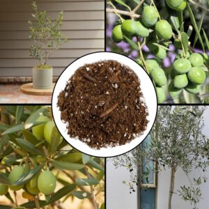 Olive Tree Potting Soil Mix (12 Quarts), for Planting, Repotting, and Growing Olive Bushes/Plants