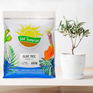 Olive Tree Potting Soil Mix (12 Quarts), for Planting, Repotting, and Growing Olive Bushes/Plants