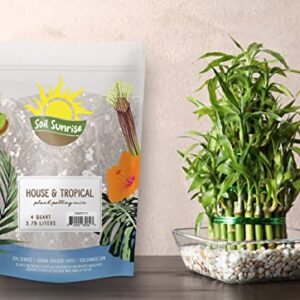 Tropical House Plant Potting Mix (4 Quarts); for All Types of Indoor House Plants