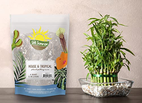 Tropical House Plant Potting Mix (4 Quarts); for All Types of Indoor House Plants