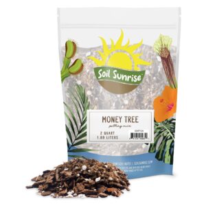 money tree potting soil mix (2 quarts); custom blend for money plant container gardening