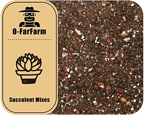 O-FarFarm Succulent Soil Potting Mix 1.1 LBS, Optimized PH Fast Draining with Added Nutrients, Perfect for Small Succulent Pots