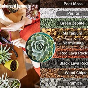 O-FarFarm Succulent Soil Potting Mix 1.1 LBS, Optimized PH Fast Draining with Added Nutrients, Perfect for Small Succulent Pots